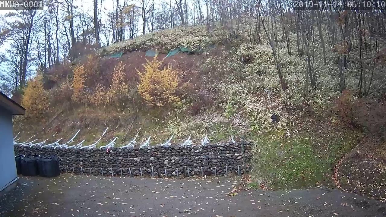 MKWA-0001 のライブ ストリーム - YouTube