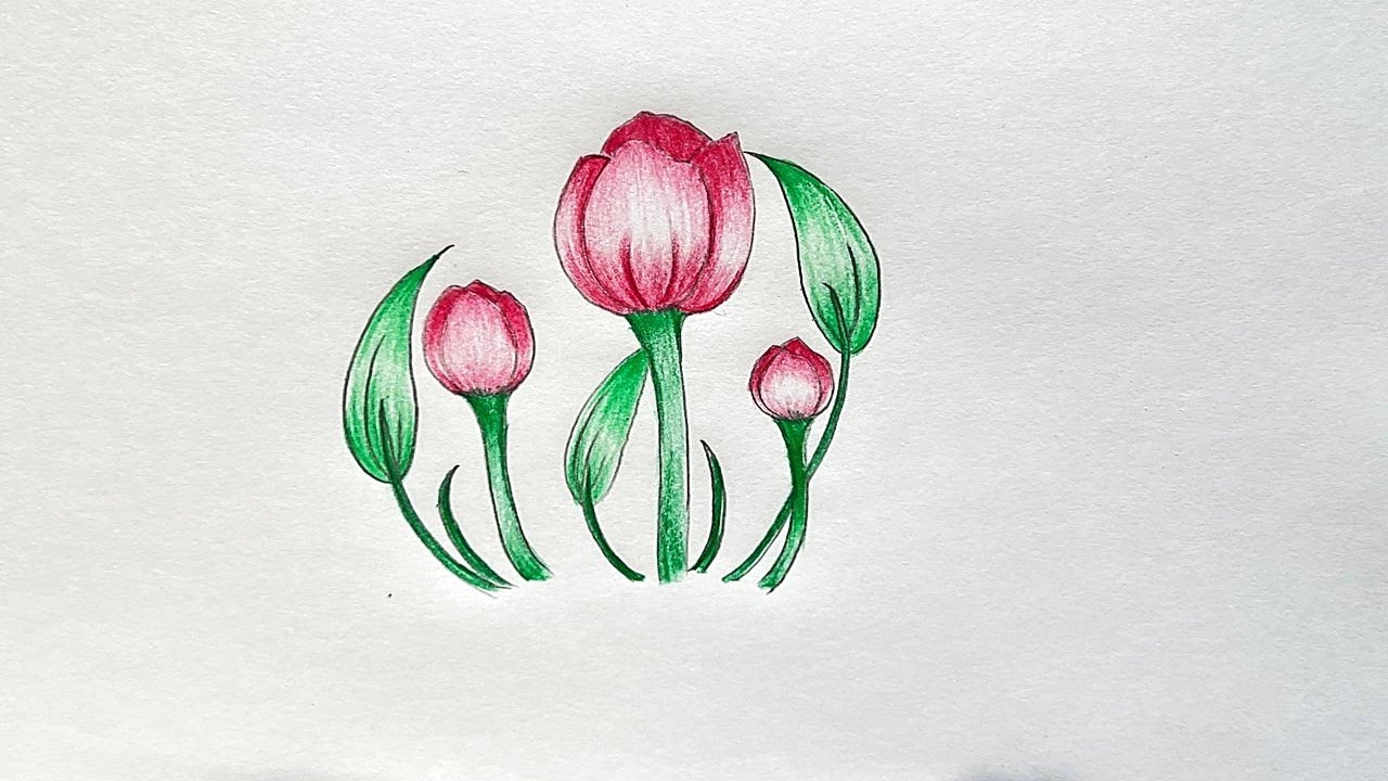 Drawing a Tulip Just Got Easier with This Simple Trick - YouTube
