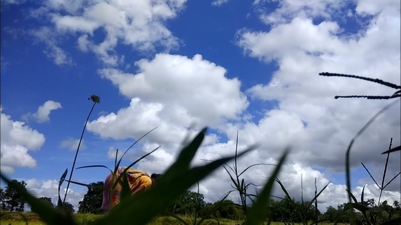 Beauty of Nature Enjoy Weather 🌞🌄 Views Video - YouTube