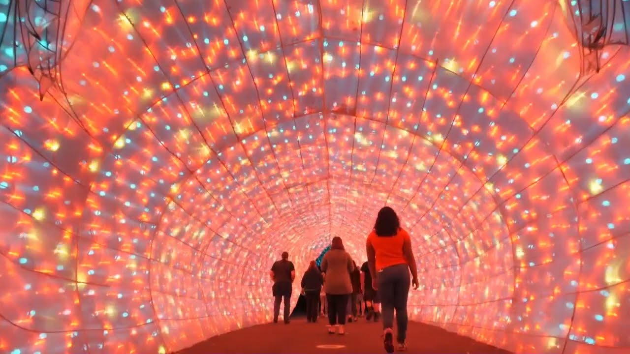 Dragon Lights Reno 30sec - YouTube