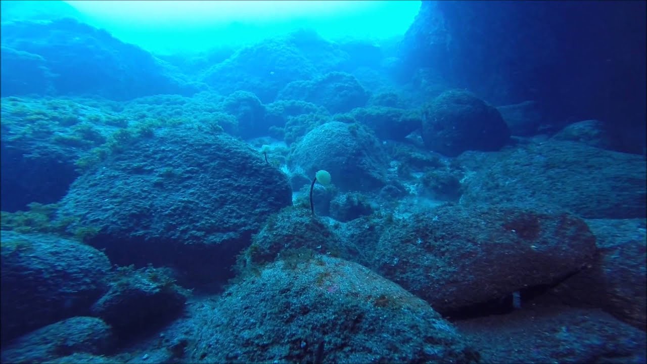 Duiken Pico Azoren 2014, Sao Rogue - YouTube