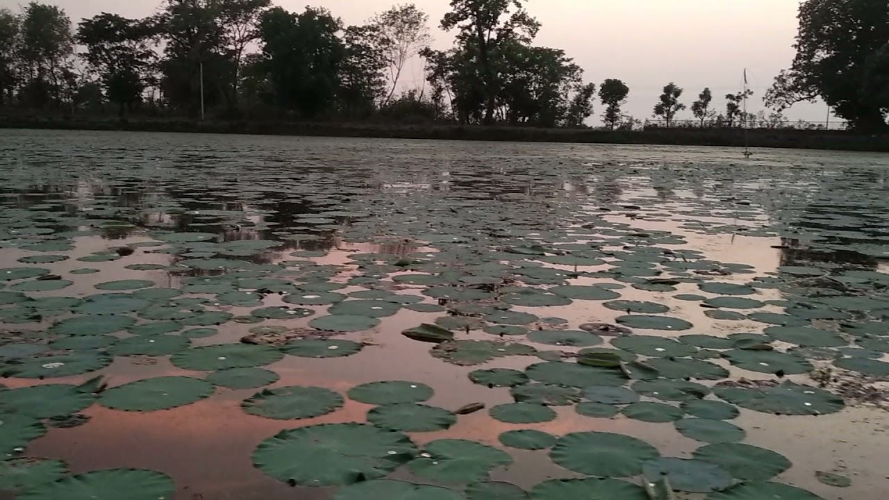 Located in Dabila of Nawalparasi, the scenic Buddha Mangal Lake - YouTube
