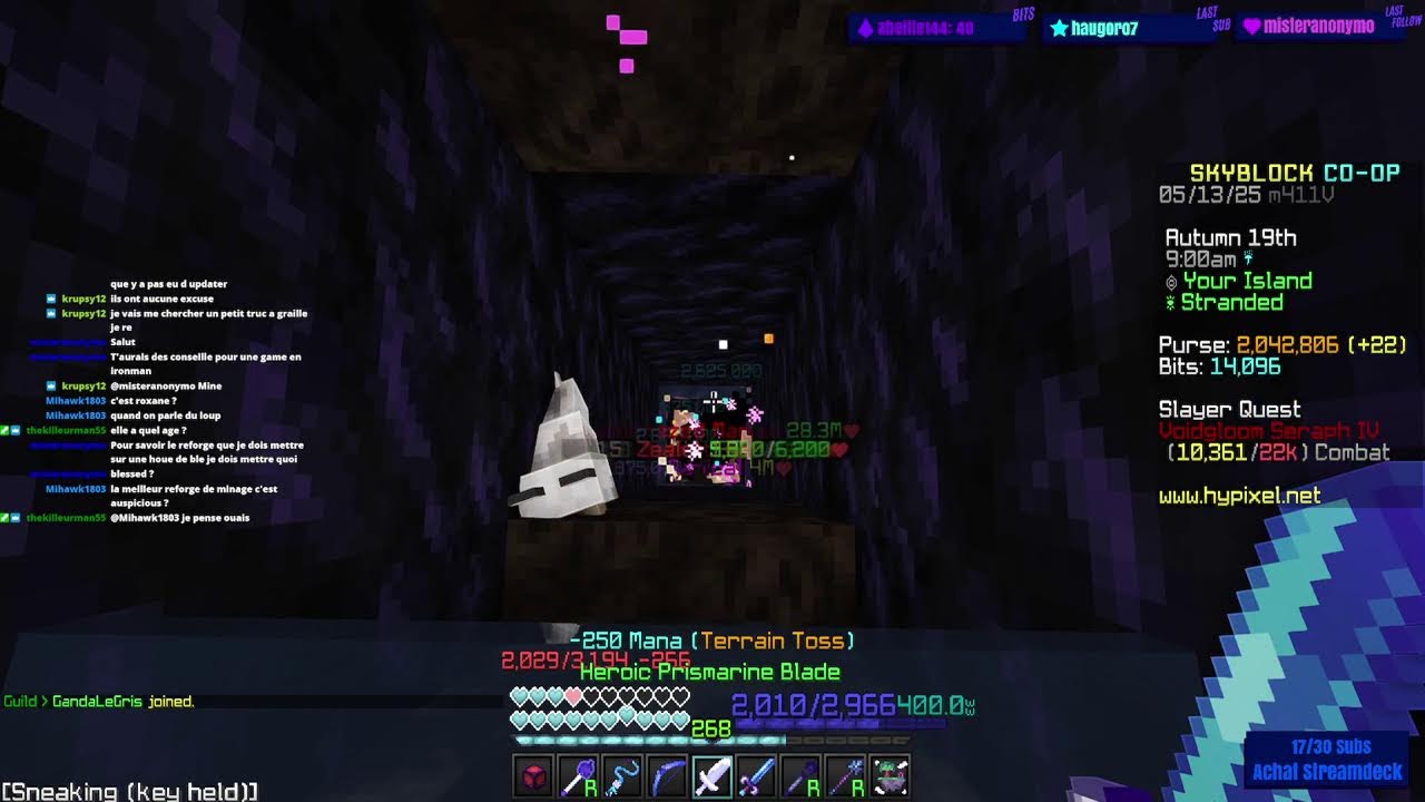 Live Eman Slayer, UPDATE OU NON ?! Hypixel Skyblock !subgoal !stuff ...