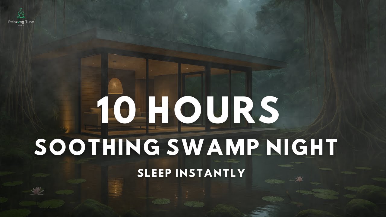 10 HOURS Swamp Sounds at Night for Sleeping 🐸🌙 | Relax with Frogs ...