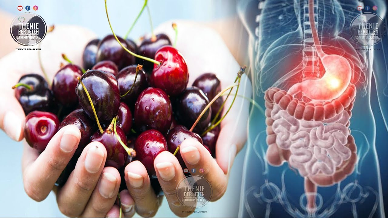 Çdo njeri para gjumi duhet të konsumoje disa kokrra Qershi. Do të ...