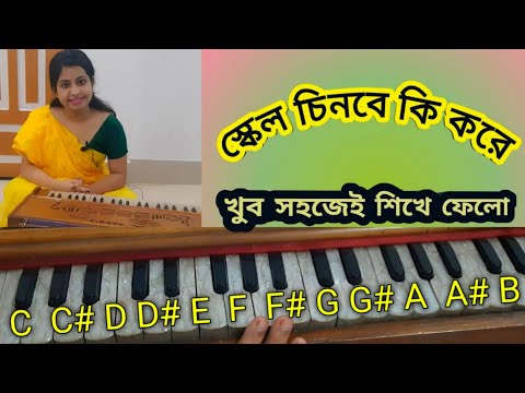 Scale chinbo ki kore(স্কেল চিনব কি করে)/harmonium lesson by Rajashri