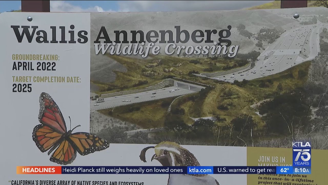 Augmented Reality depicting 101 Freeway wildlife crossing to be ...