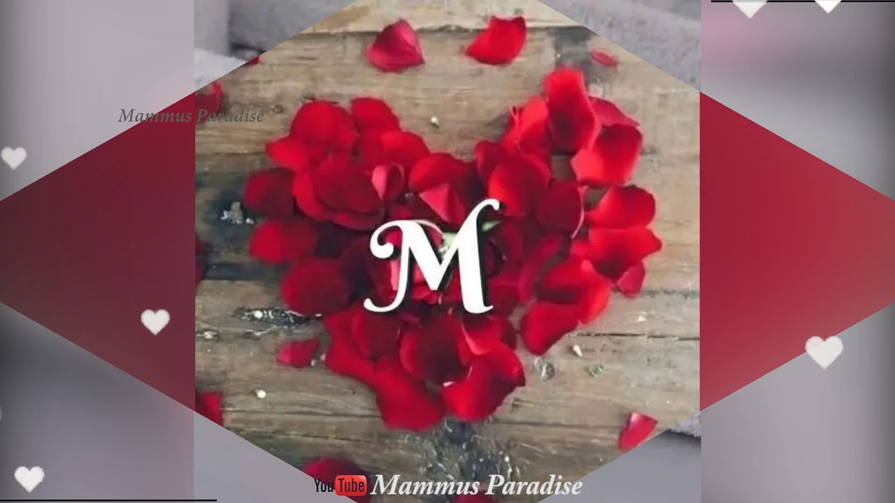 M Letter Whatsapp Status | M Love Whatsapp Status | Mammus Paradise | M ...