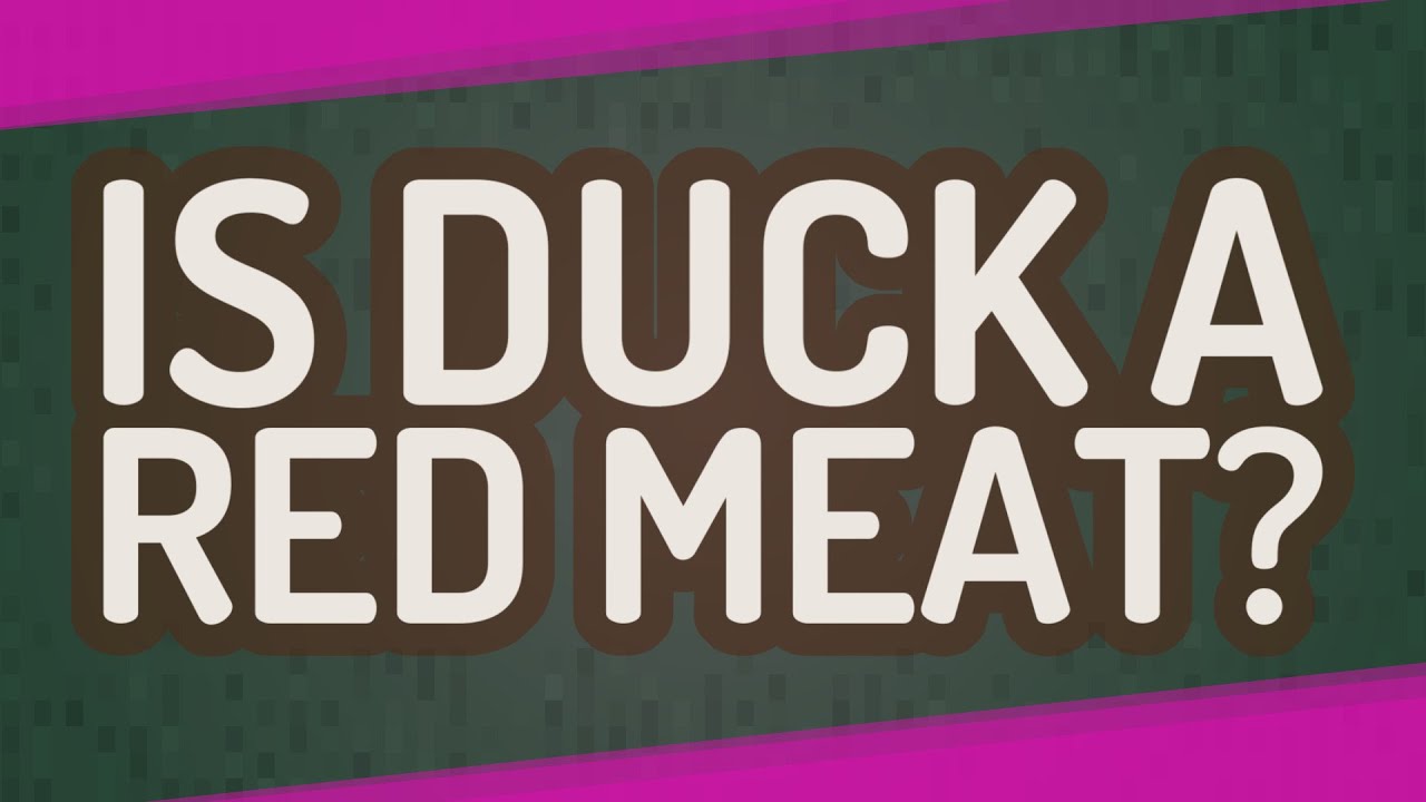 Is duck a red meat? - YouTube