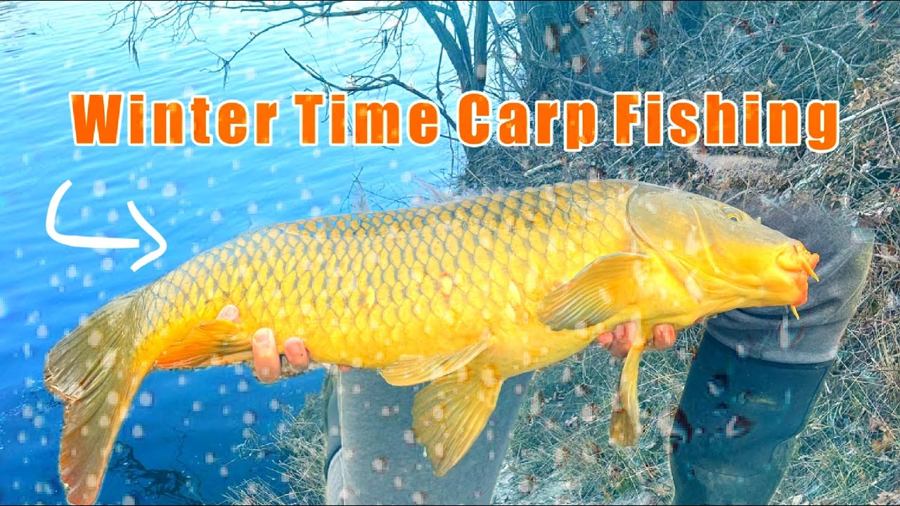 The Search For Late Winter Carp! (Merrimack River - GIANTS) - YouTube