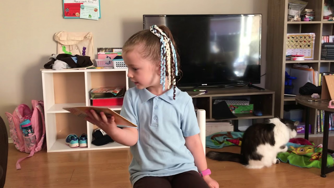 Bingo and the ducks - YouTube