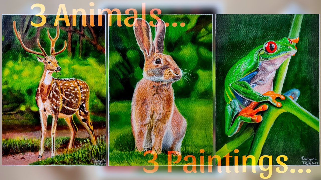 3 Animals… 3 Paintings… I Deer Rabbit Frog I Acrylic Painting I ...