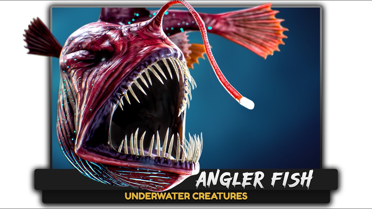 The Anglerfish 02 Curse | low poly fish | Ocean predator | Angler fish ...