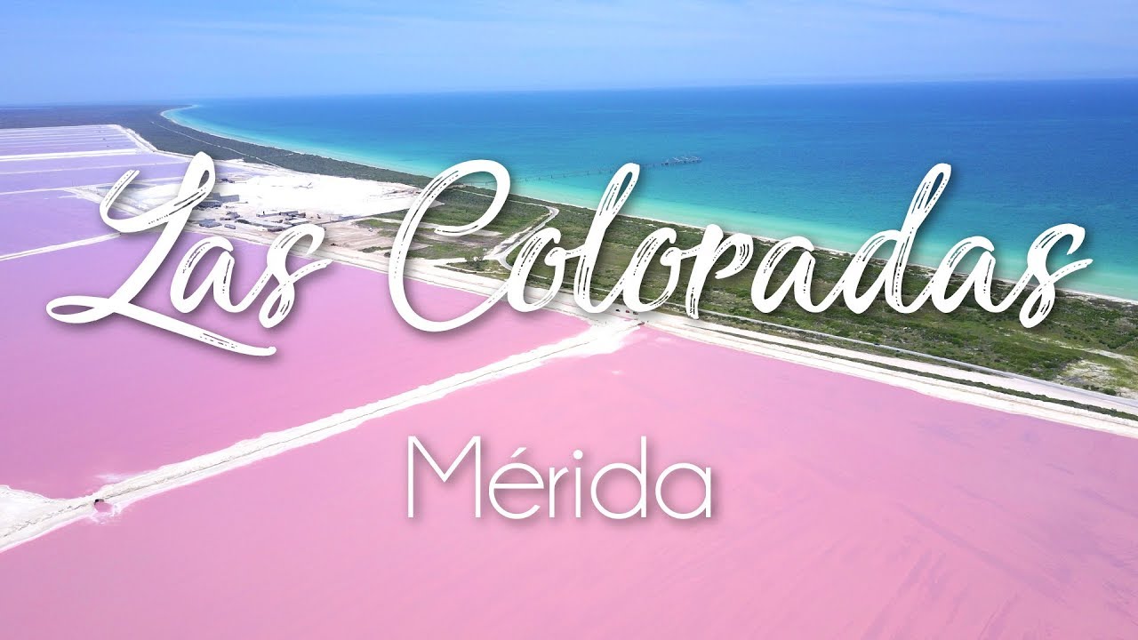 Las increíbles lagunas rosas - Las Coloradas Merida - YouTube