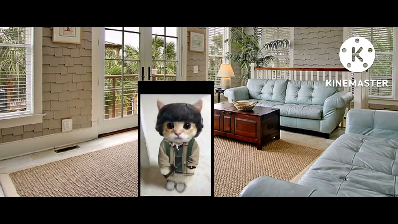 El Gato story part 1 - YouTube