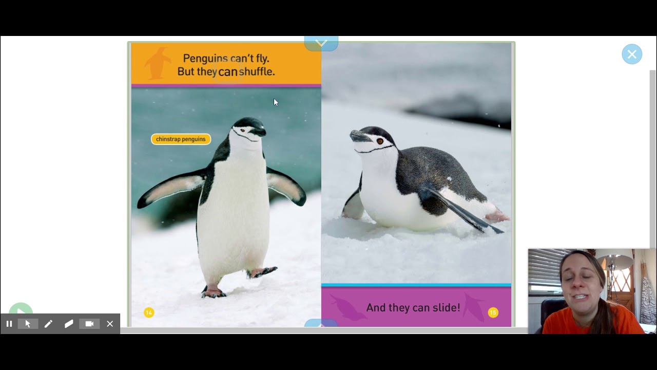 Hello Penguin! - YouTube