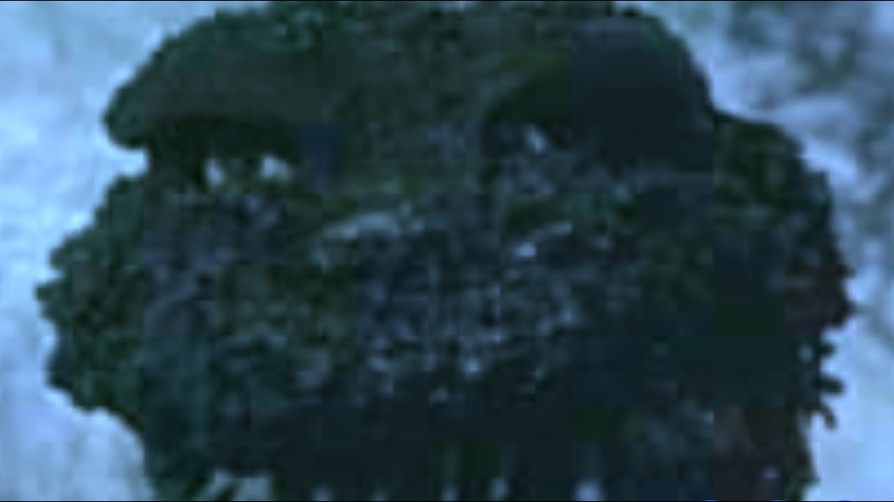 Mother of Godzilla!! - YouTube