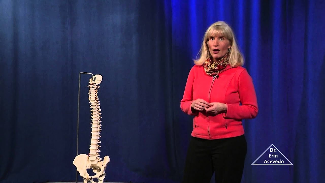 "Constipation" with Dr. Erin Acevedo - YouTube