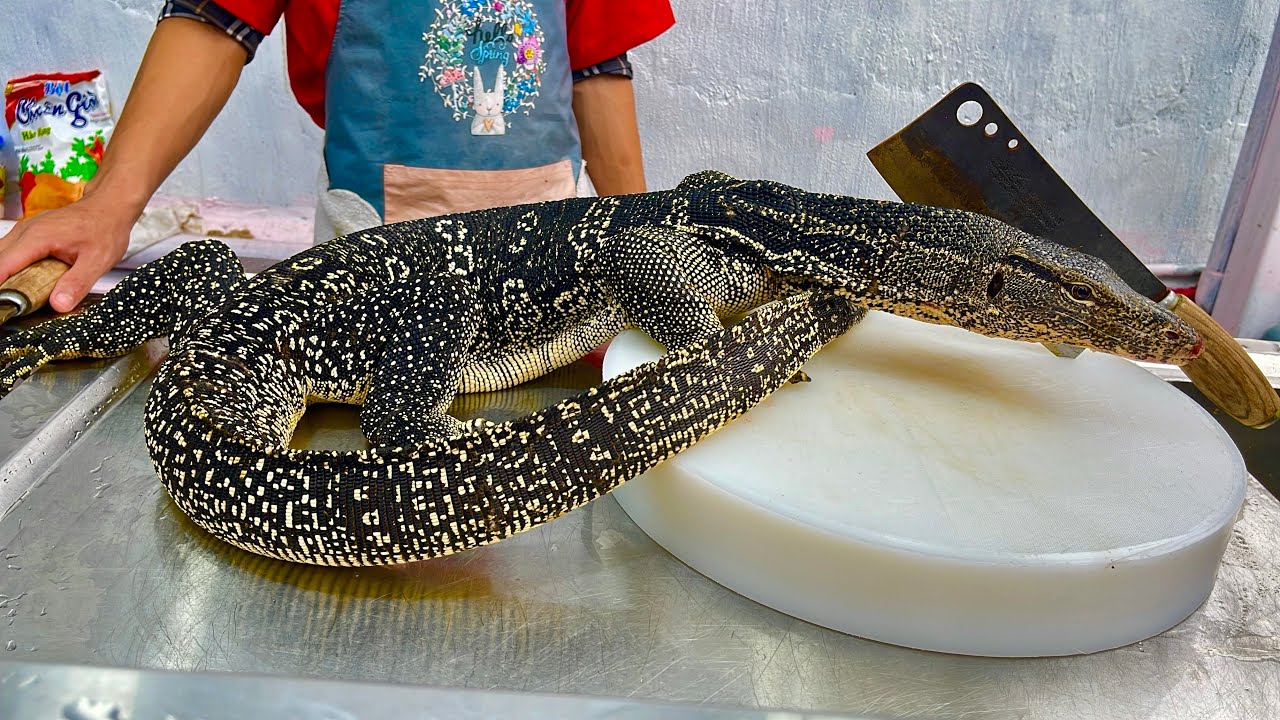 legendary comodo dragon, prepare many delicious dishes from comodo ...