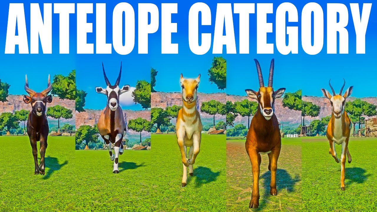 Antelope Category Speed Races in Planet Zoo included Bongo, Gemsbok ...