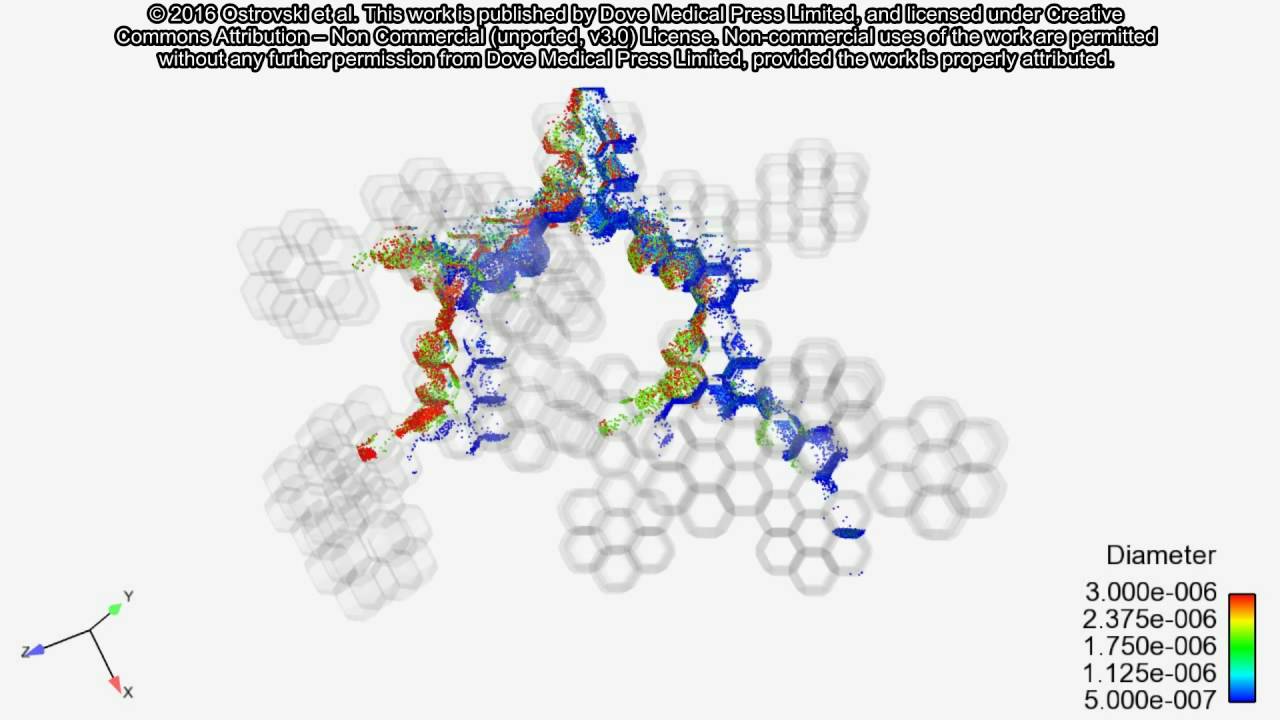 Targeting the pulmonary acinus with magnetic particles - Supplementary ...
