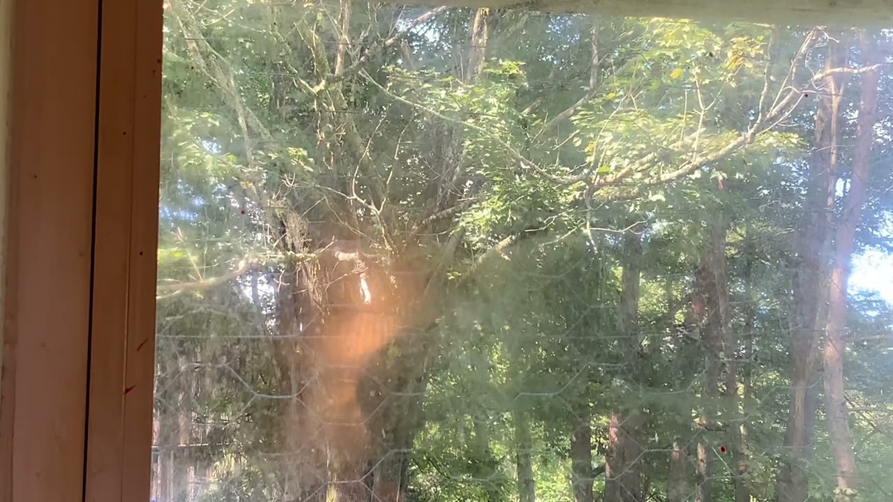 DREAM OF THE ONE WORLD CHURCH, IT IS AT THE DOOR - YouTube