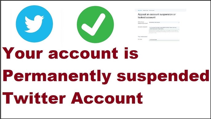 Can A Suspended Twitter Account Be Reactivated Exploring The Process