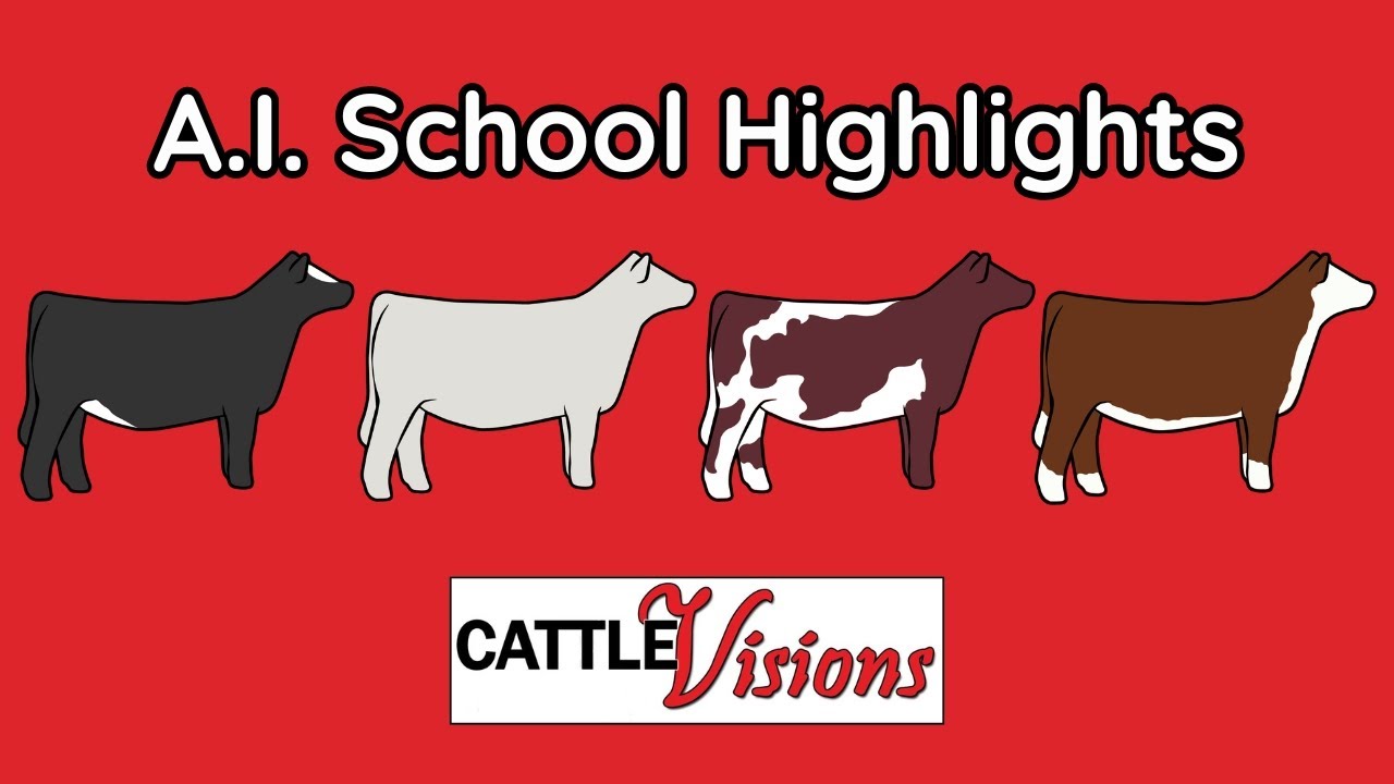 Cattle Visions A I School Promo Video - YouTube