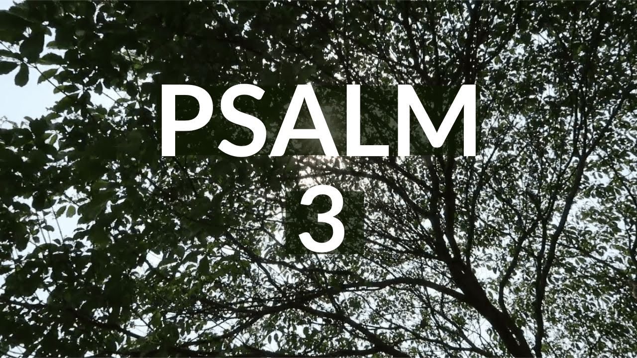 Psalm 3 (with words) | New King James Version - YouTube