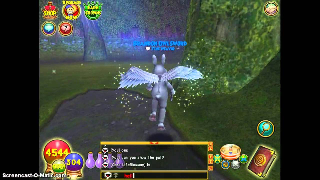 Wizard101: Evergreen Bundle! - YouTube