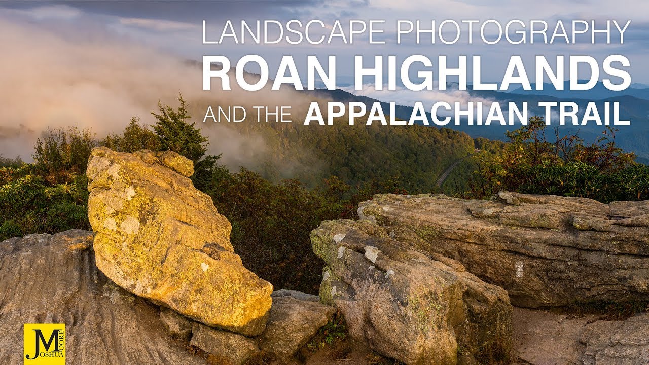 Roan Mountain Appalachian Trail Wallpaper