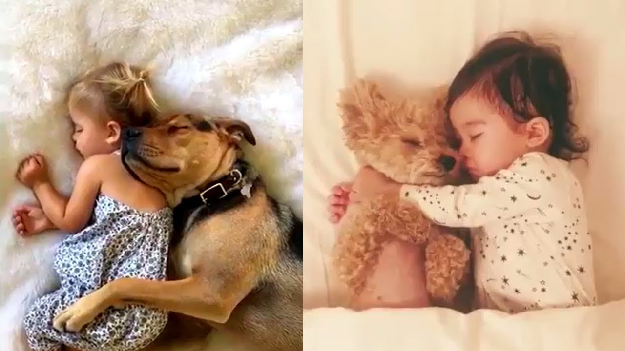 Baby And Dog Nap Together