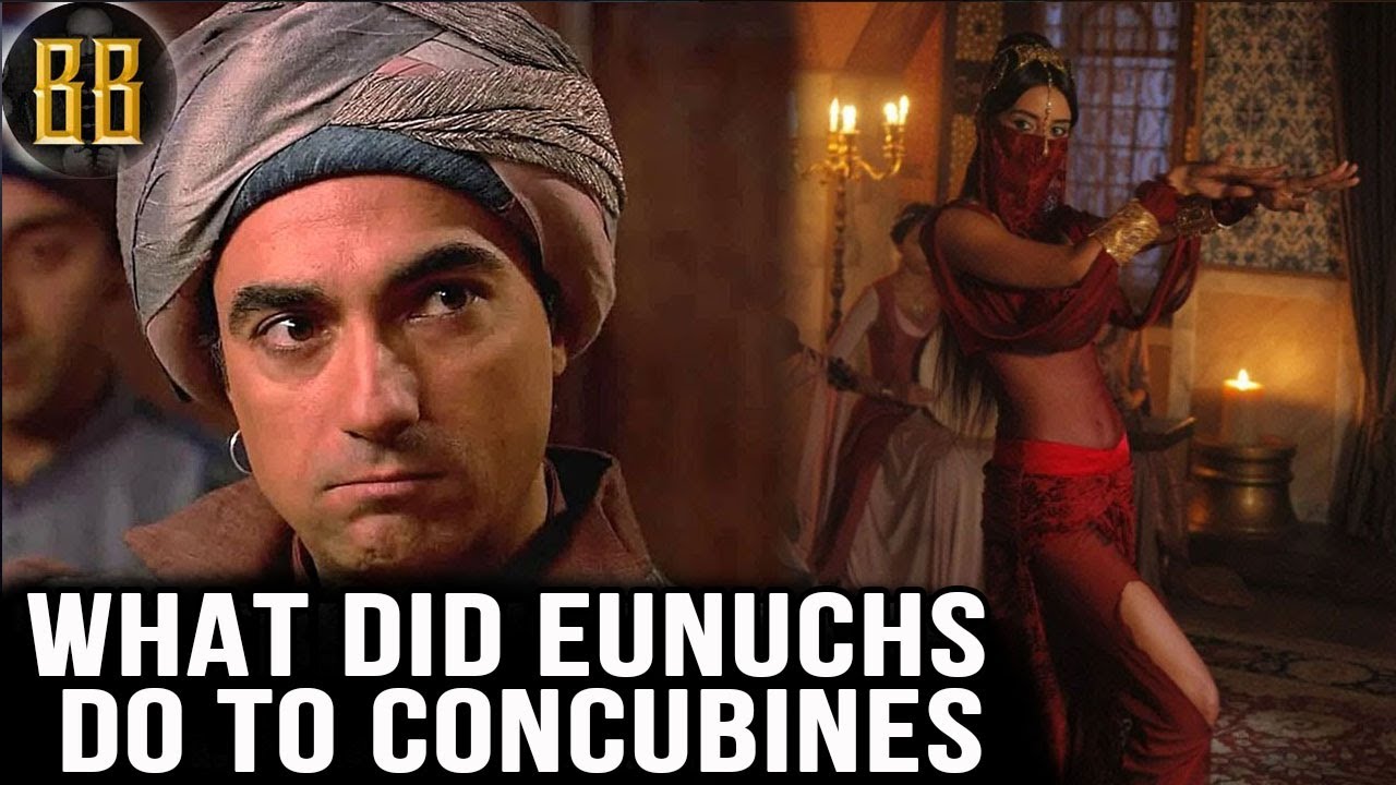 Eunuchs-who are they? Connections with concubines, their training. A ...