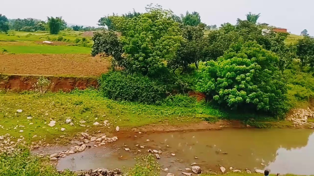 New seen video 2019 - YouTube