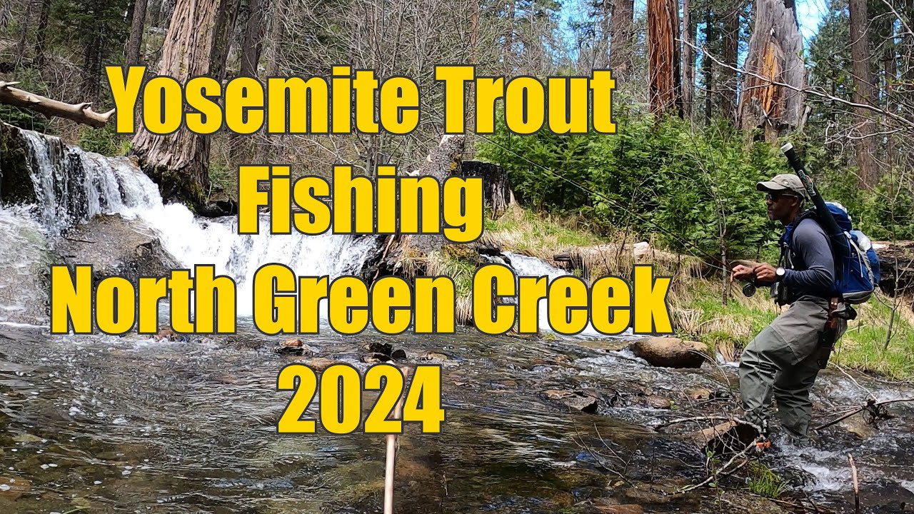 Yosemite Trout Fishing | North Green Creek | Fly Fishing Hiking ...