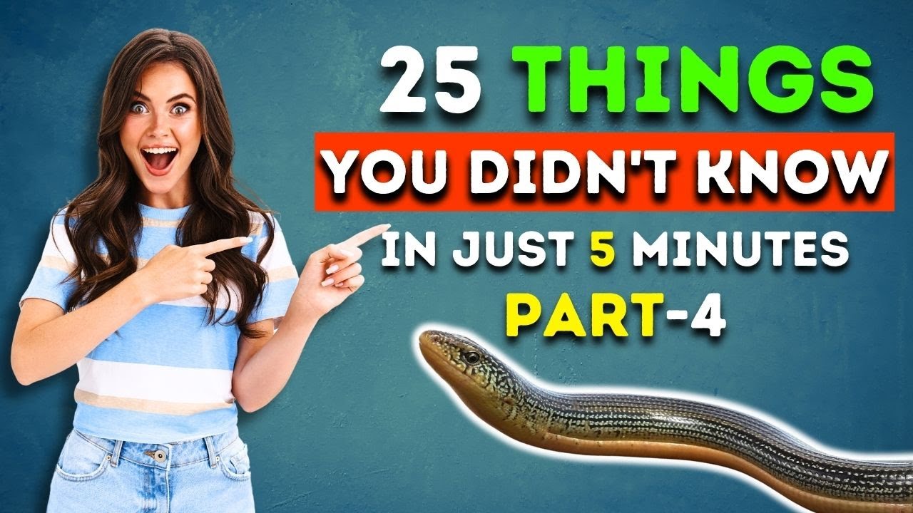 25 Amazing Facts YOU'VE NEVER HEARD in Just 5 Minutes! [4] INTERESTING ...