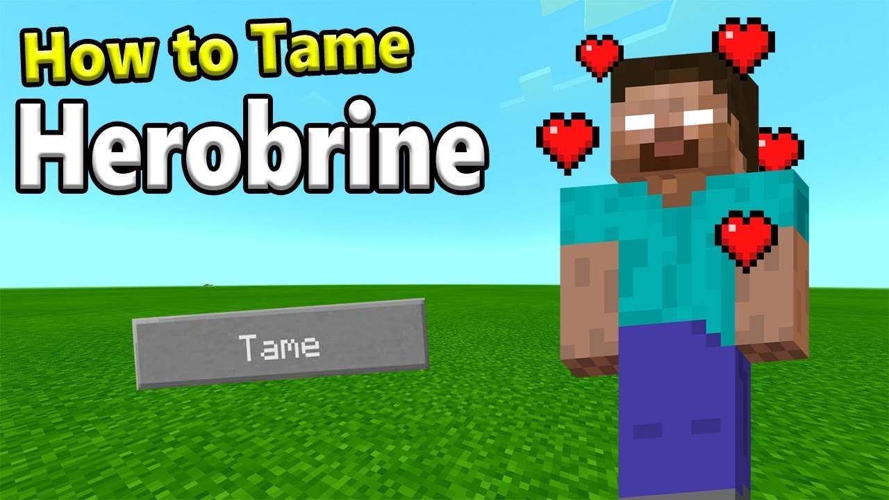 How to Tame HEROBRINE in Minecraft PE - YouTube