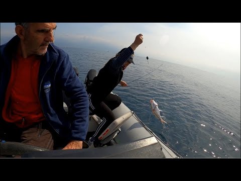 Ψαρεμα μονο με ζωντανο ετρωγαν - YouTube