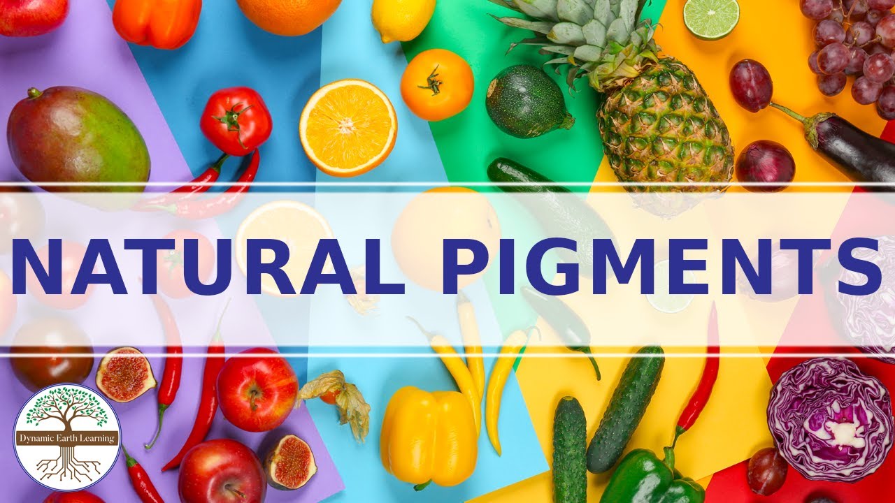 Natural Pigments Middle School Science Activity - How to make paint - E ...