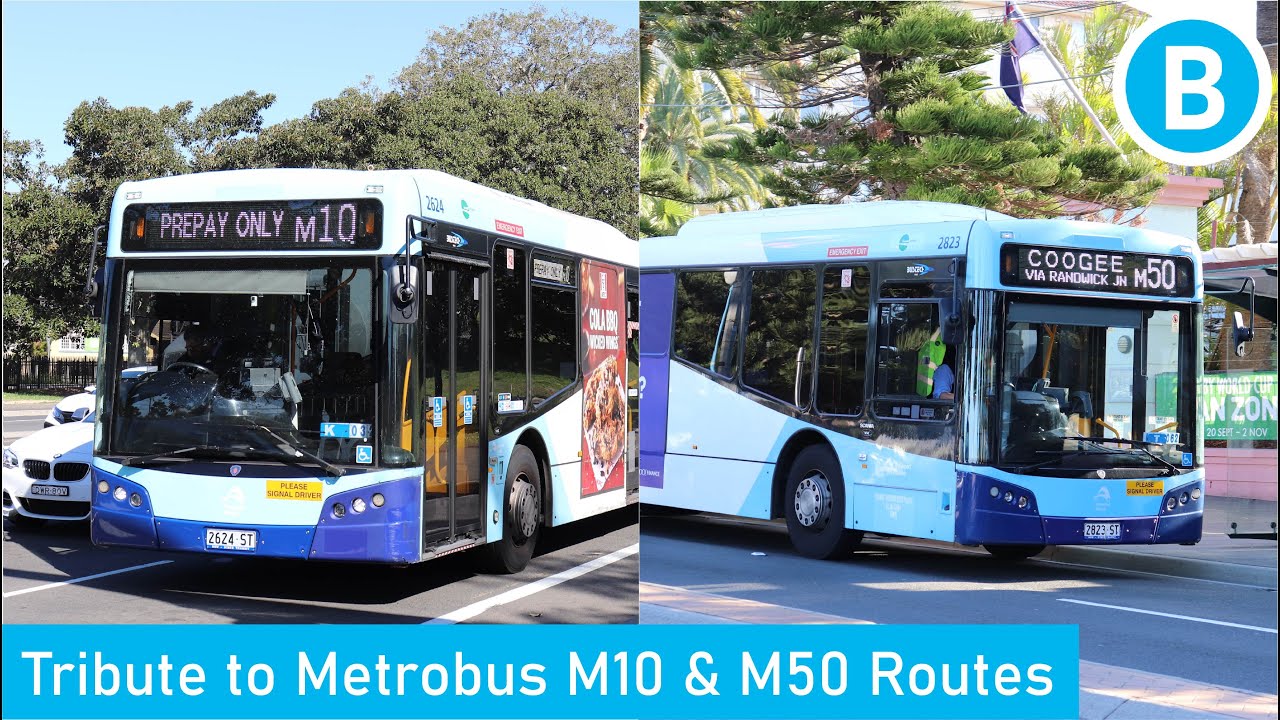 Tribute to Sydney Metrobus M10 & M50 Routes - YouTube
