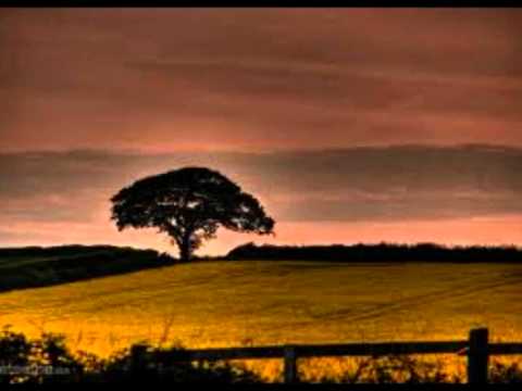 The Cliff Adams Singers