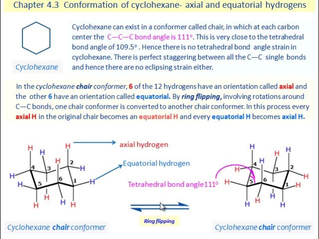 Hydrogens Cyclohexane Chair