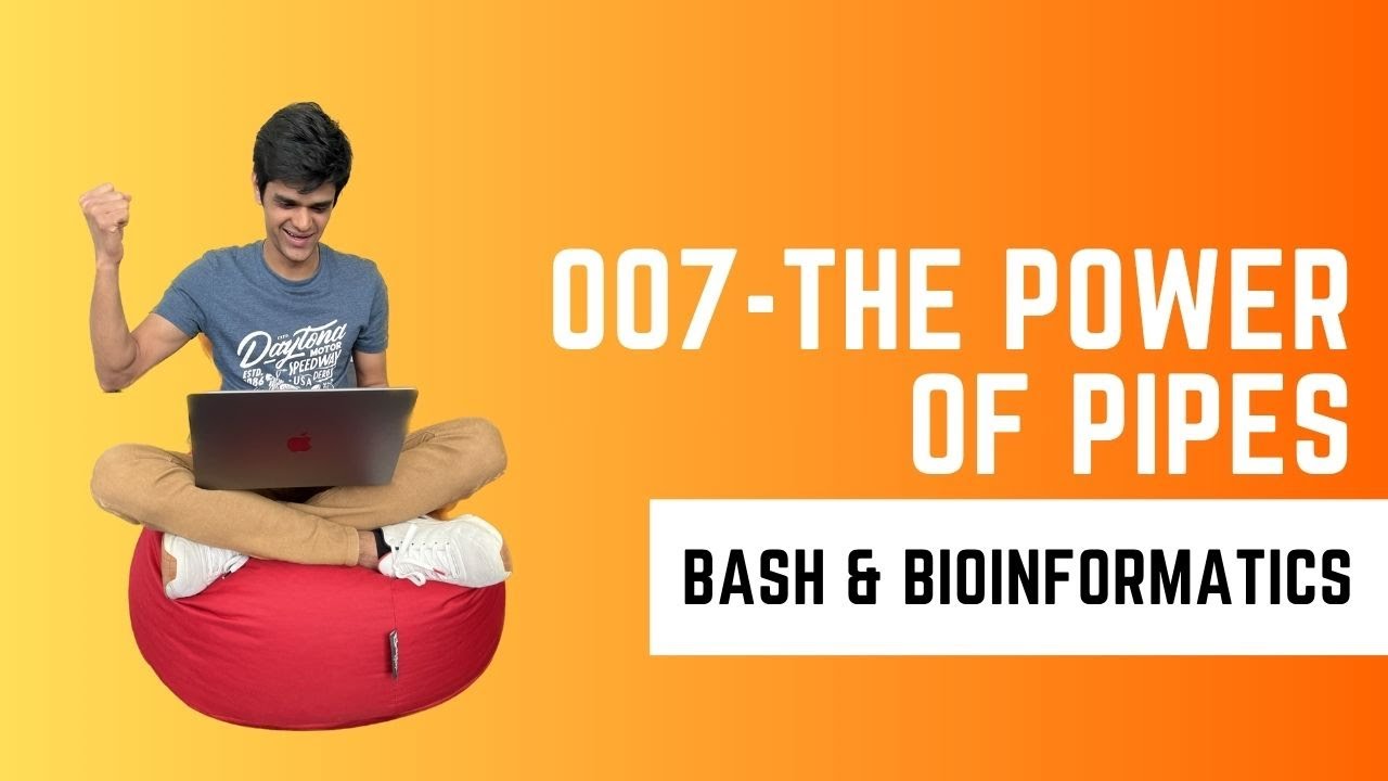 The Power of Pipes | Bash Essentials for Bioinformatics (BEB) - YouTube
