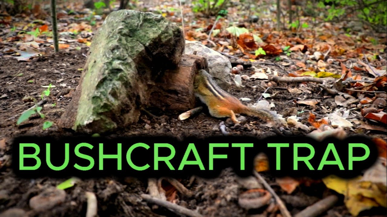 BUSHCRAFT TRAP - Primitive Technology - YouTube