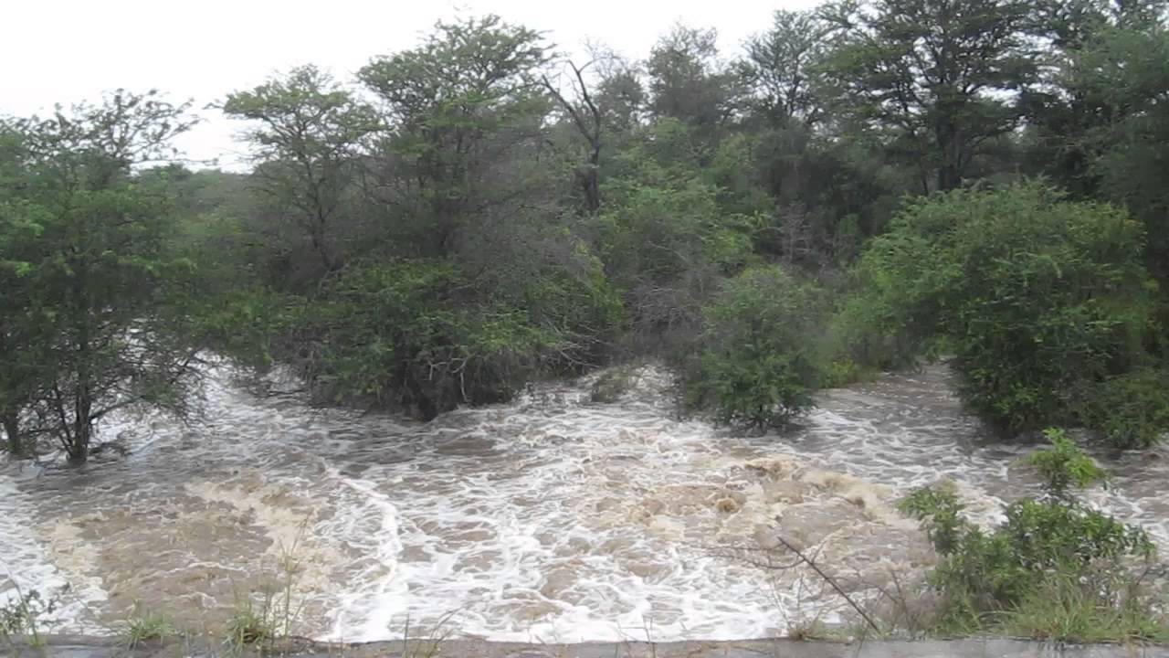 Flooded culvert in Kruger - YouTube