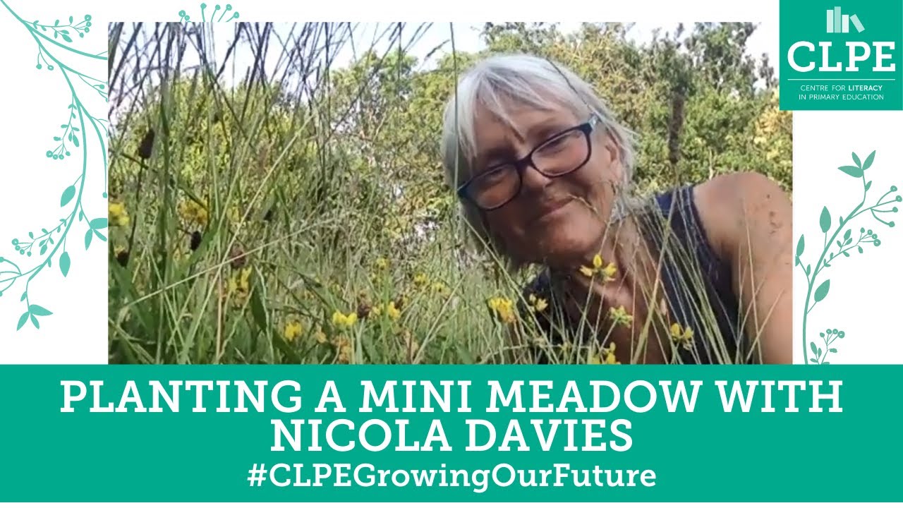 Planting a mini meadow - Rewilding ideas and inspiration from Nicola ...