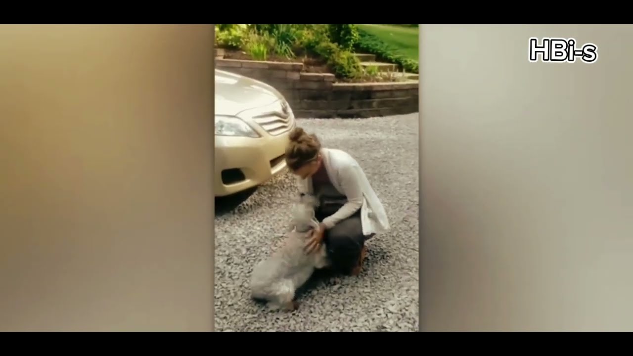 animals reunited with humans for long time no see #emotional - YouTube