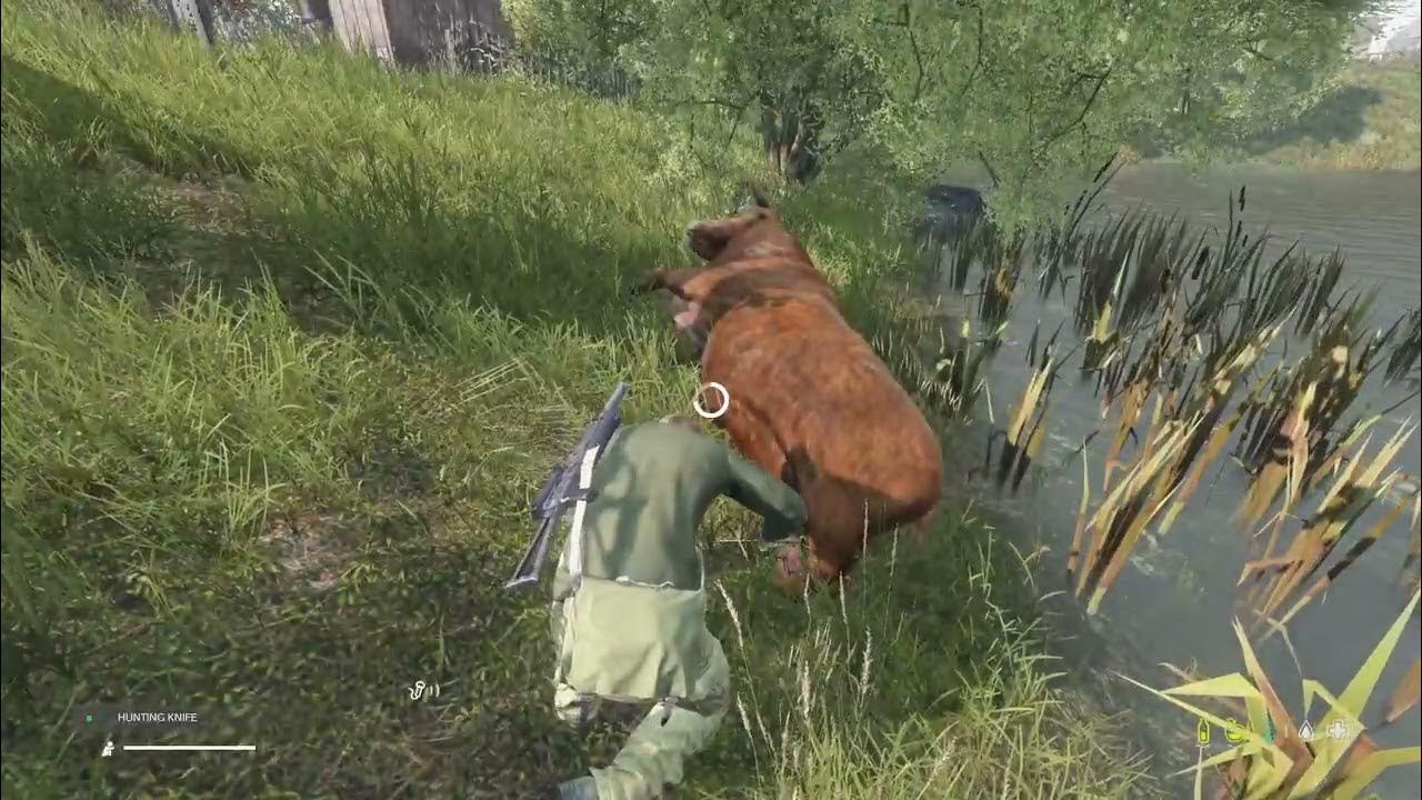 Trying to survive in dayz community servers episode 1 - YouTube