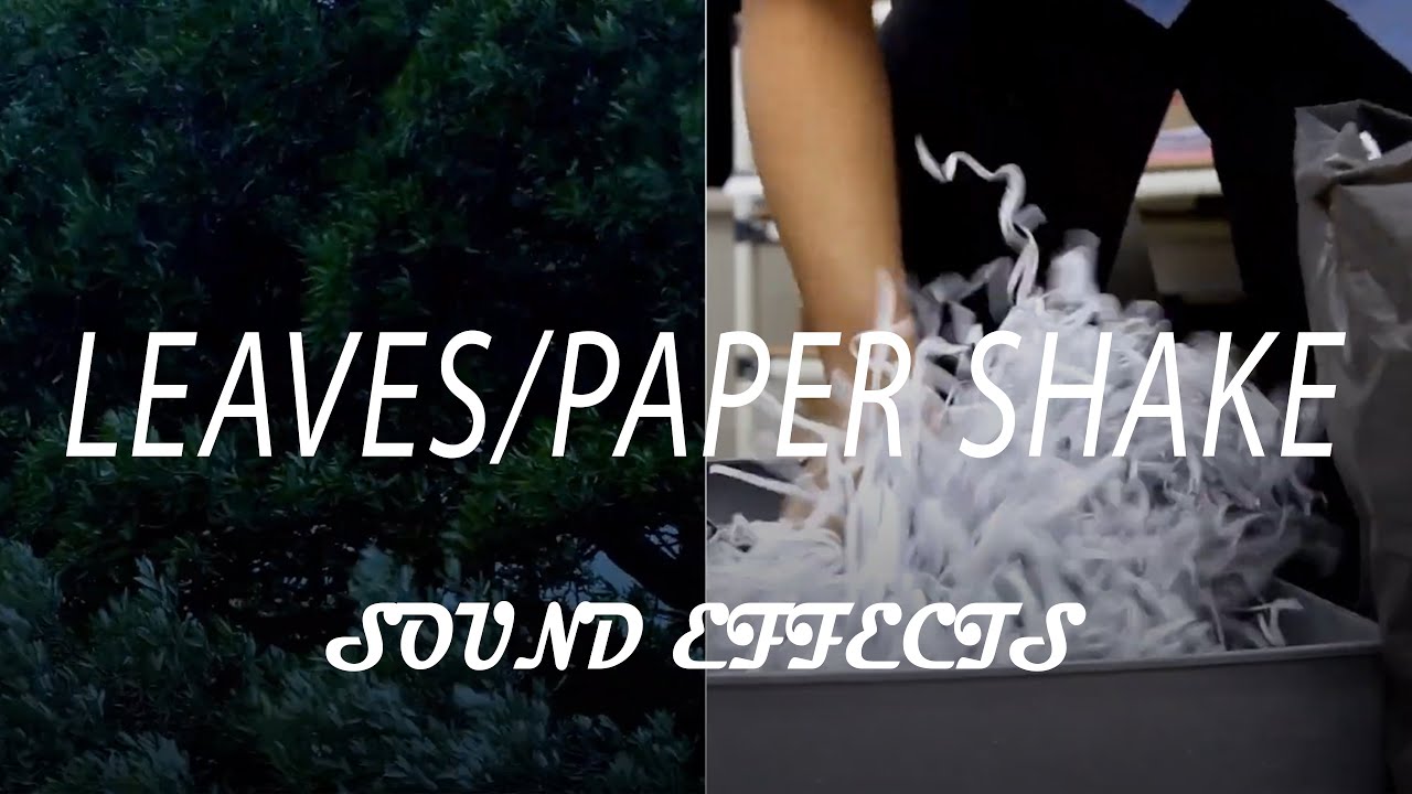 Rustling through paper - shaking a tree branch - moving a bush - sound ...
