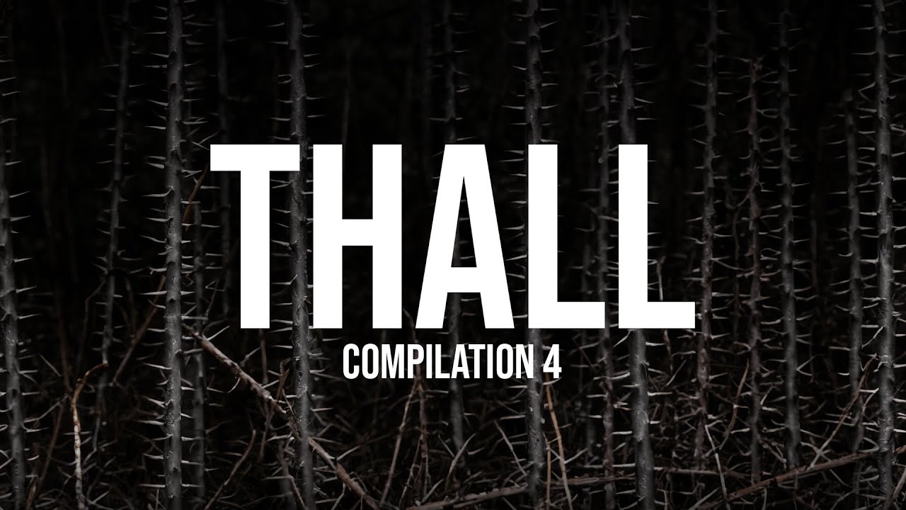 Thall/Djent Compilation (Part 4) 2024 - YouTube